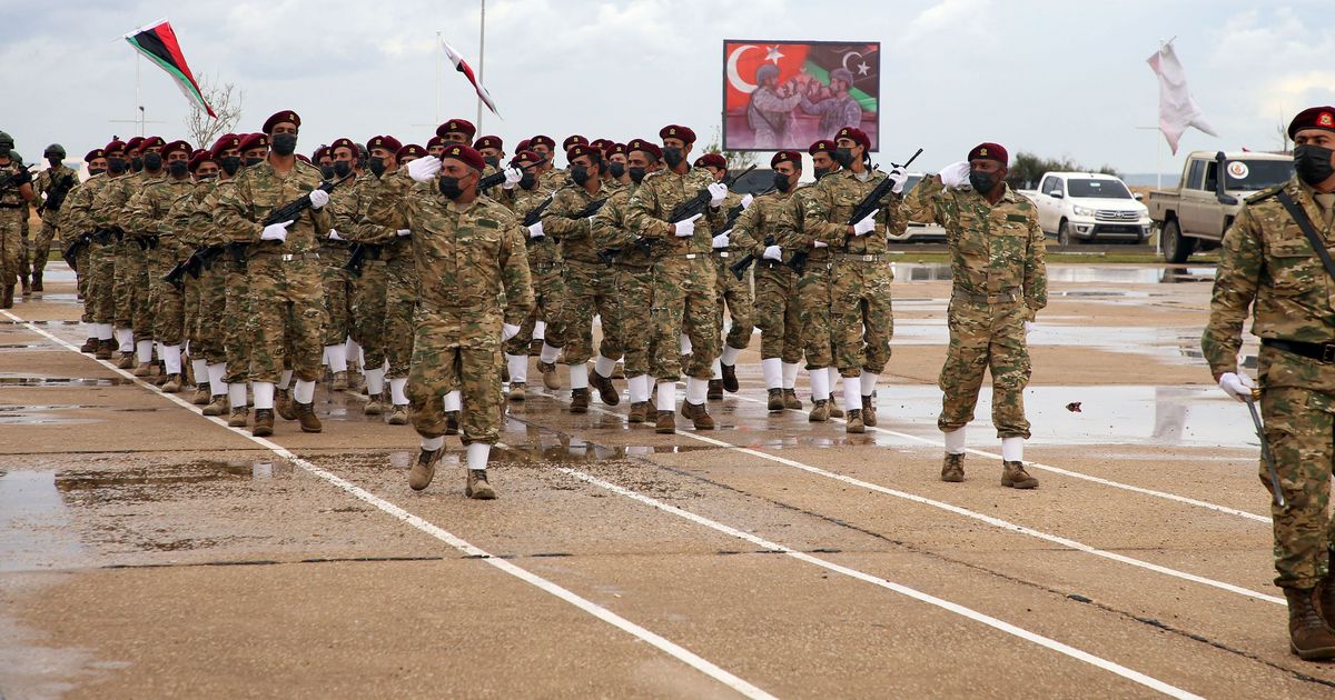 Unpacking Turkey’s Security Footprint in Africa - Stiftung Wissenschaft ...