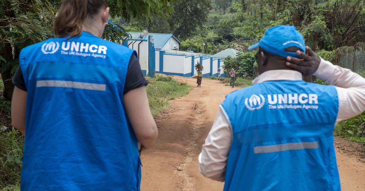 Interlinking Humanitarian Aid, Develop­ment Cooperation and ...